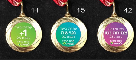 מדליות בעיצוב אישי | עיצוב מדליה