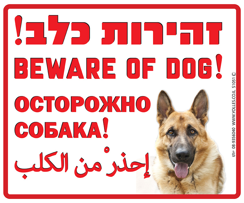 שלט זהירות כלב בעברית רוסית ערבית ואנגלית 25 30 סמ S1051 זהירות כלב